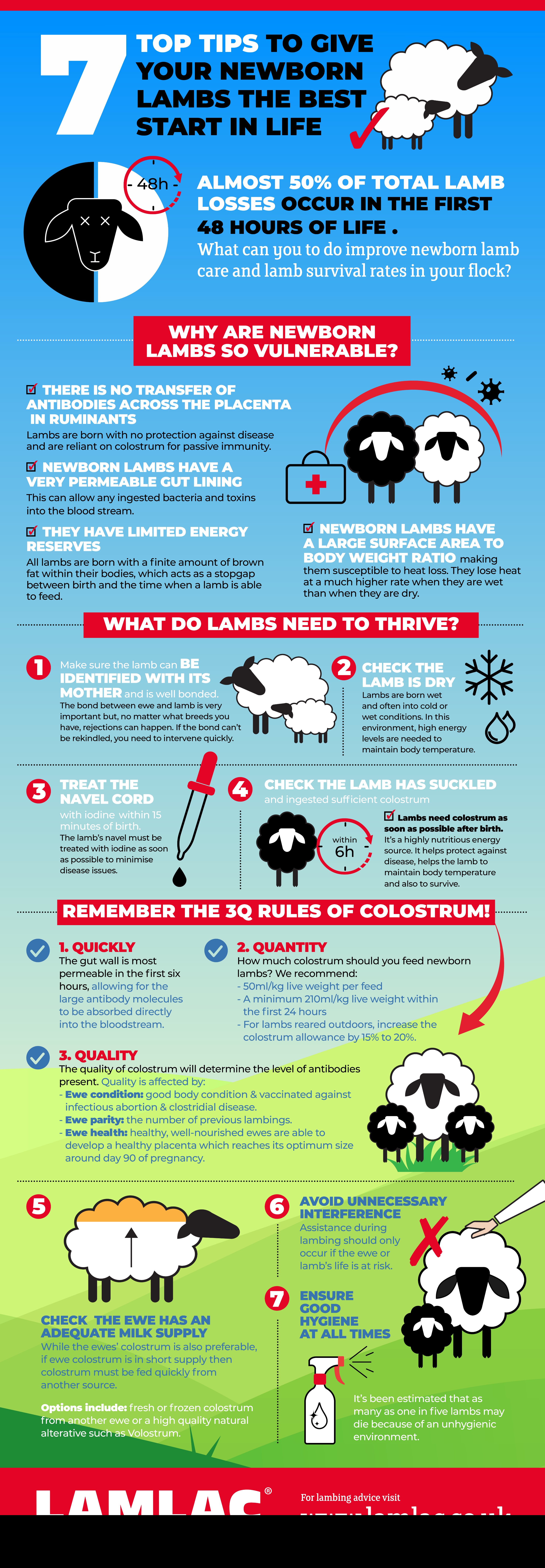 how to make your lamb gain weight