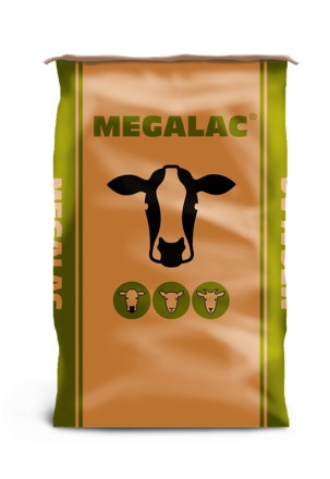 Products | What We Offer | Lamlac