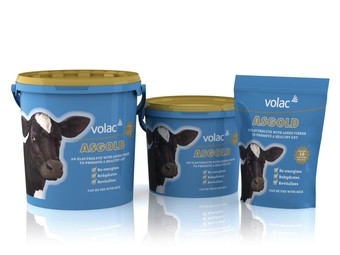 Products | What We Offer | Lamlac